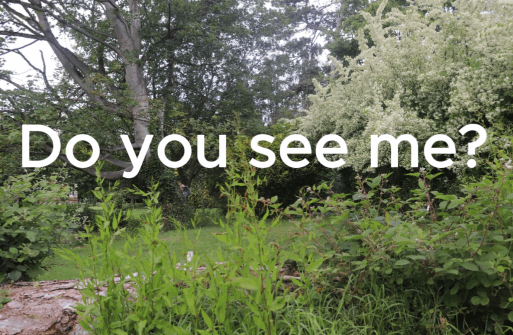 Learning Disabilities Week 2025 | Showcase | Linkage Community Trust